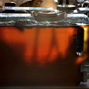 All About Kombucha – Fermenters Club