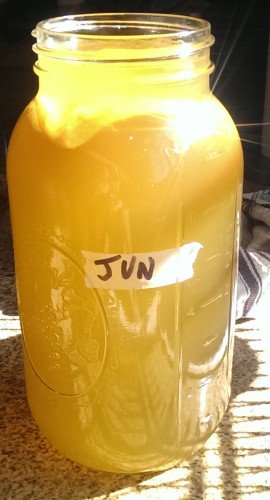 Jun – Fermenters Club