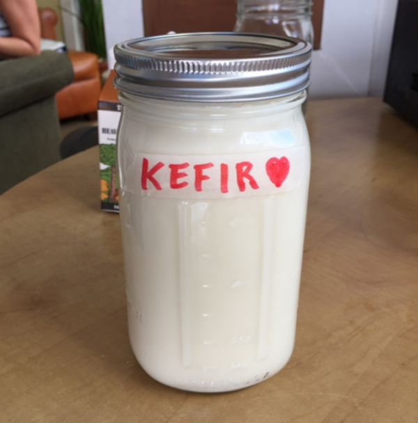Milk Kefir – Fermenters Club