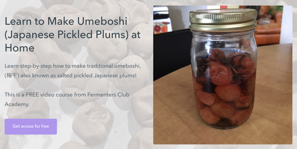 Umeboshi (Japanese Pickled Plums) - Fermenters Club