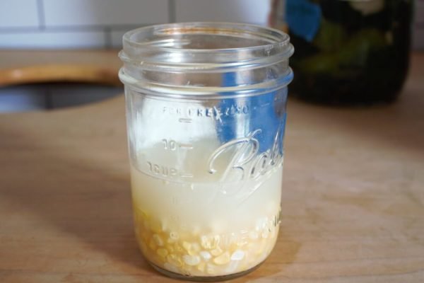 Fermented Corn (Maize) Kernels – Fermenters Club