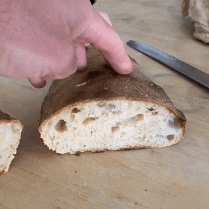 Sourdough Italian Bread - Fermenters Club