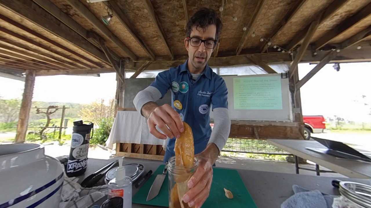 Online Fermentation Courses - Fermenters Club