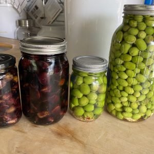 Sicilian Green Olives – Fermenters Club